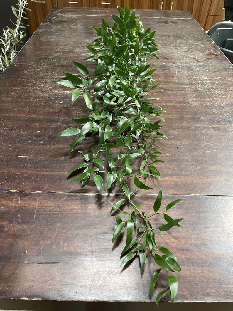Fresh Italian Ruscus Garland: Wedding Greenery - Etsy