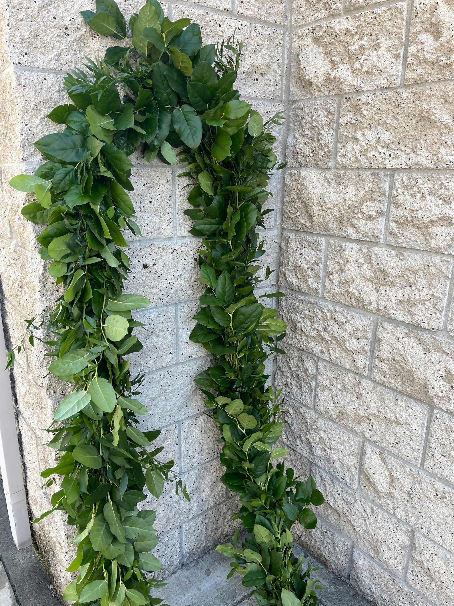 Fresh Italian Ruscus & Salal Garland // Natural Combo Garland | Etsy