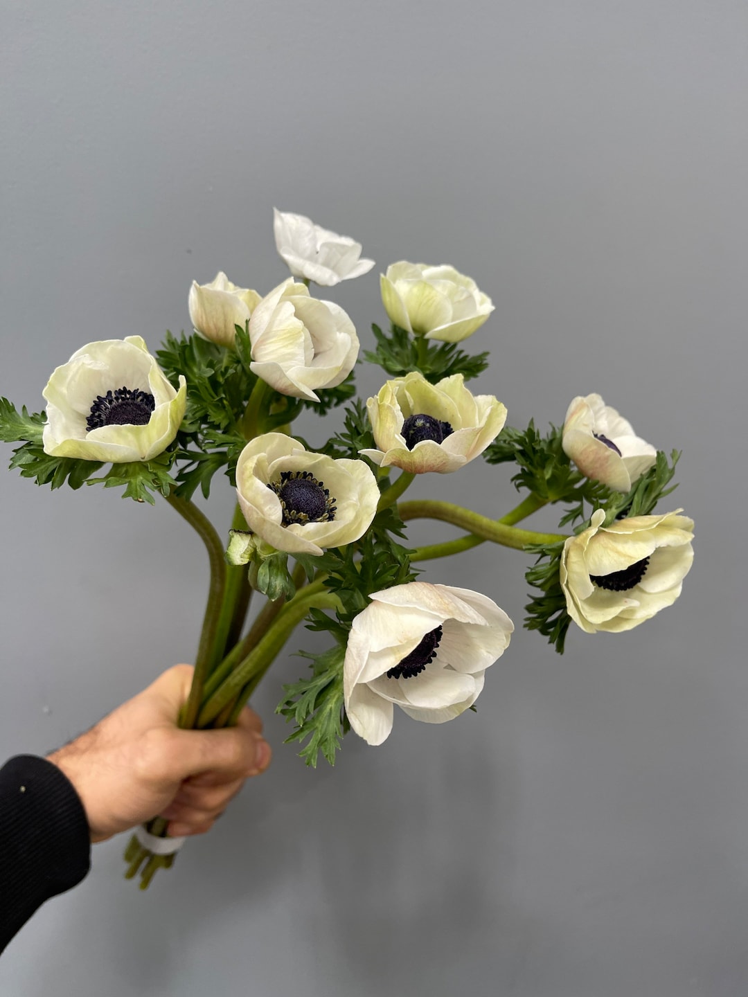 White Anemone Bouquet: 20 Fresh Cut Flowers, Wedding Decor - Etsy
