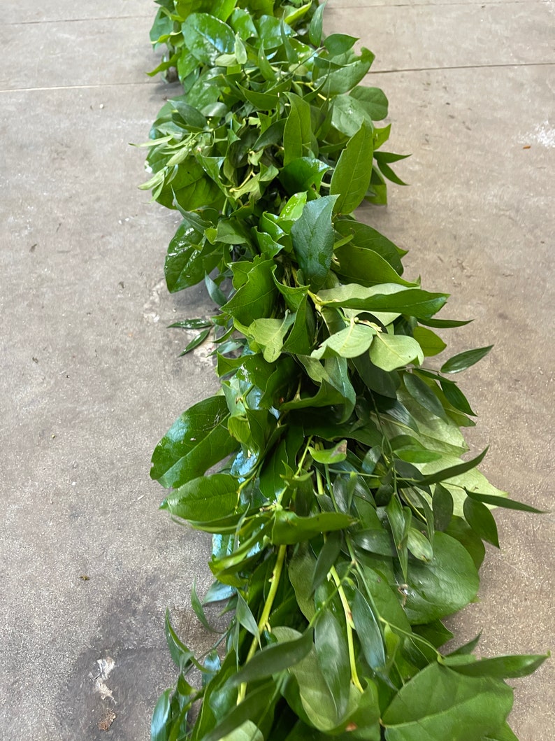 Fresh Ruscus & Salal Garland: Natural Greenery Wedding Decor - Etsy