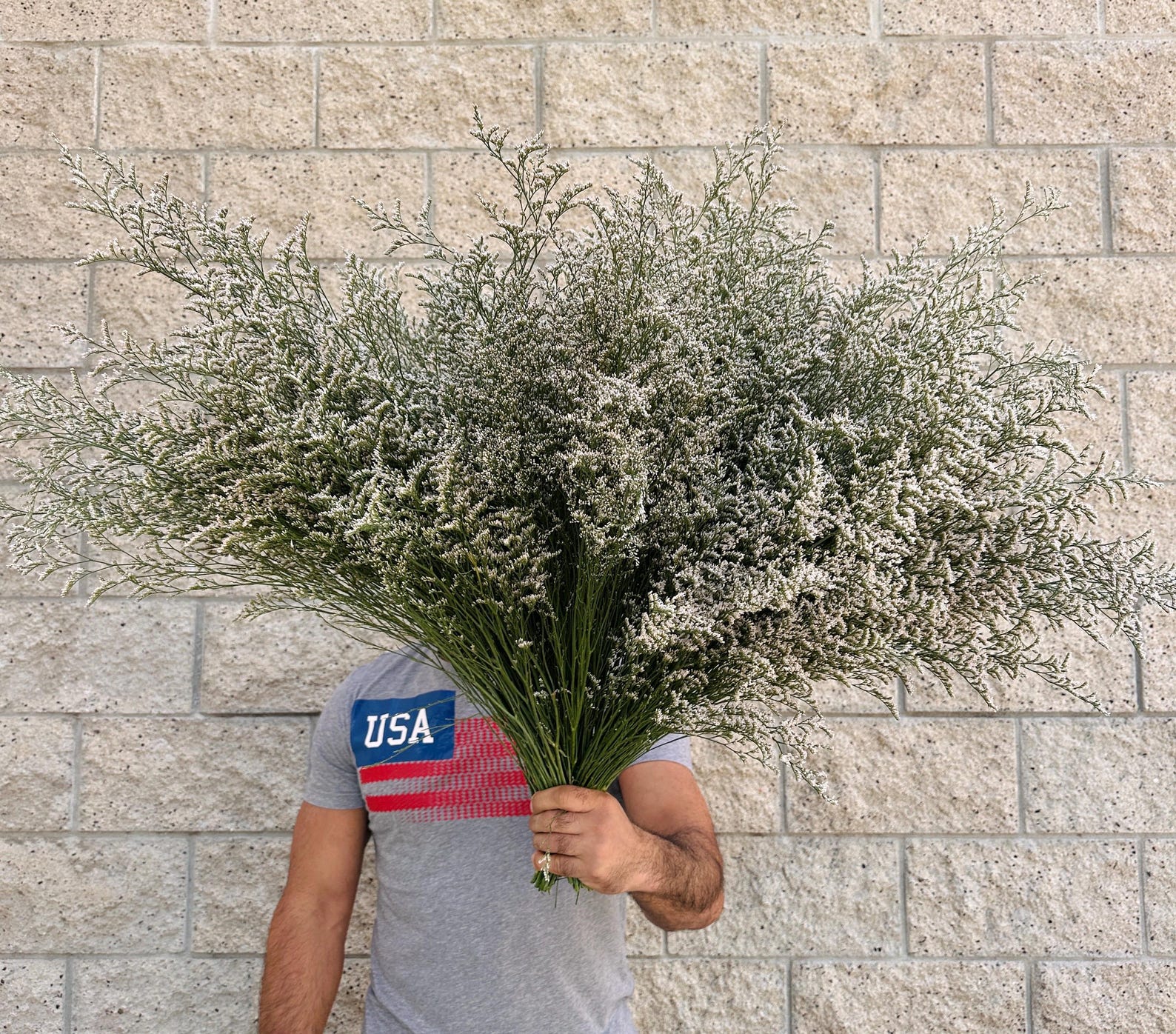 White Misty Limonium Caspia: Dried Wedding Flower Filler - Etsy