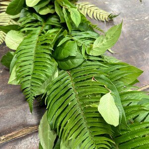 Fresh Tropical Garland: Salal & Sword Fern Wedding Decor - Etsy