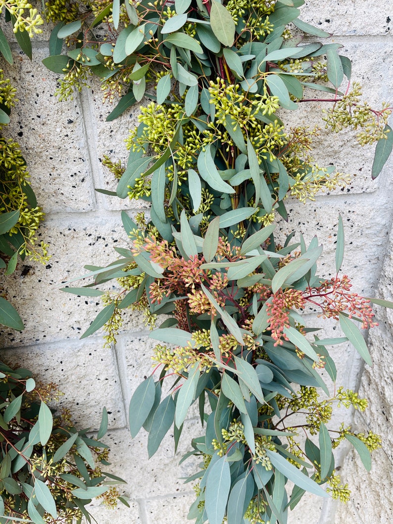 Fresh Seeded Eucalyptus Garland // Natural Seeded Eucalyptus - Etsy