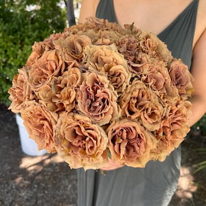 Fresh Toffee Brown Roses | Wedding Garden Roses | 20 Stem Premium ...