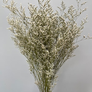Fresh White Misty // Bulk White Caspia // Dried Wedding Flowers ...