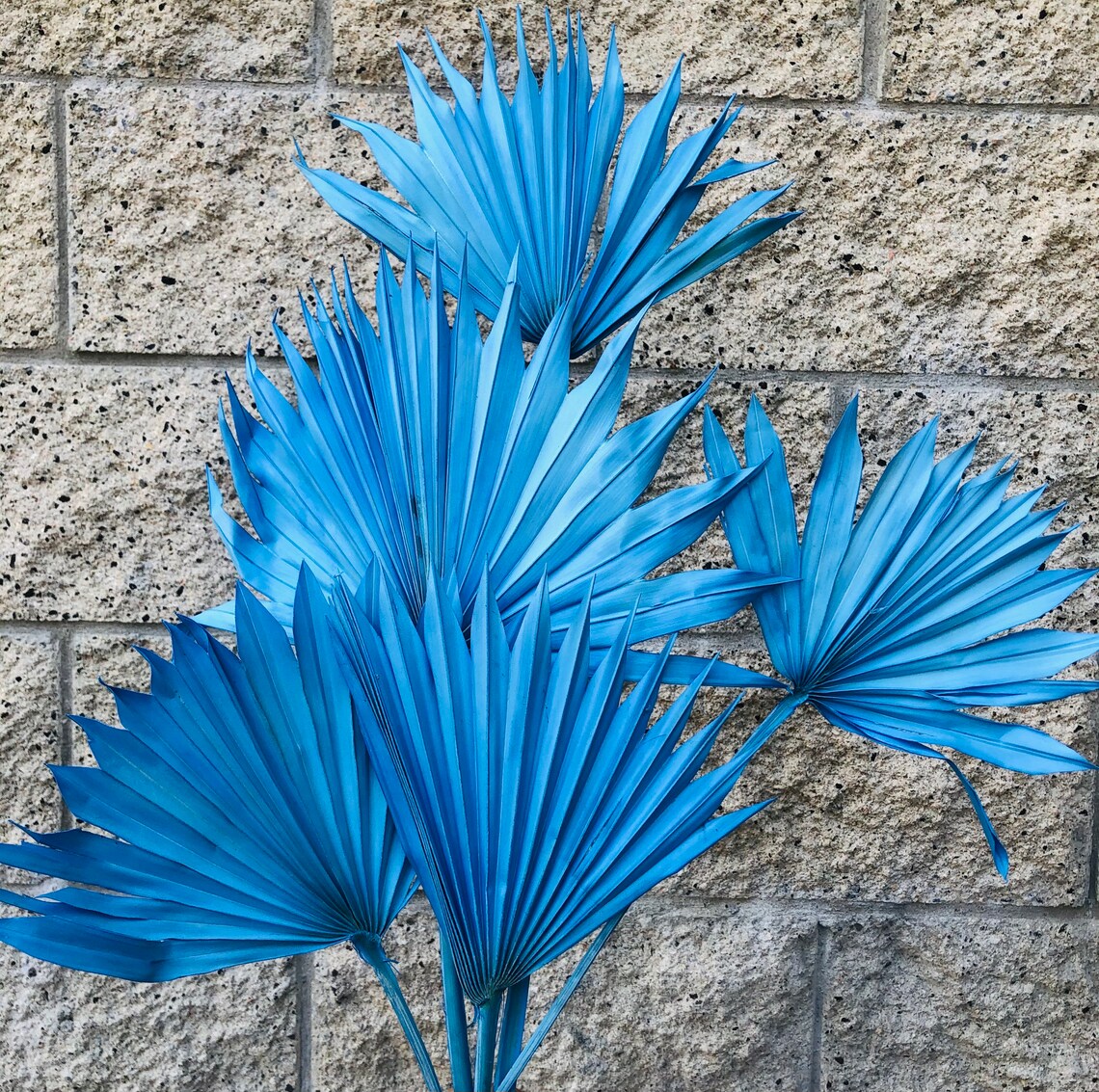 Bleached Blue Sun Palms// 5 stem Bundle // Blue Palm Leaf | Etsy