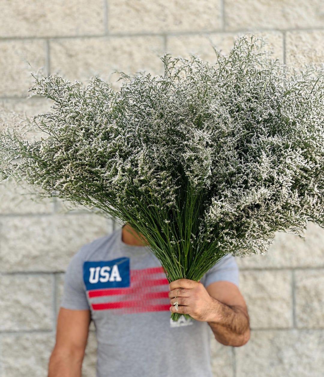 Fresh White Misty // Bulk White Caspia // Dried Wedding Flowers ...