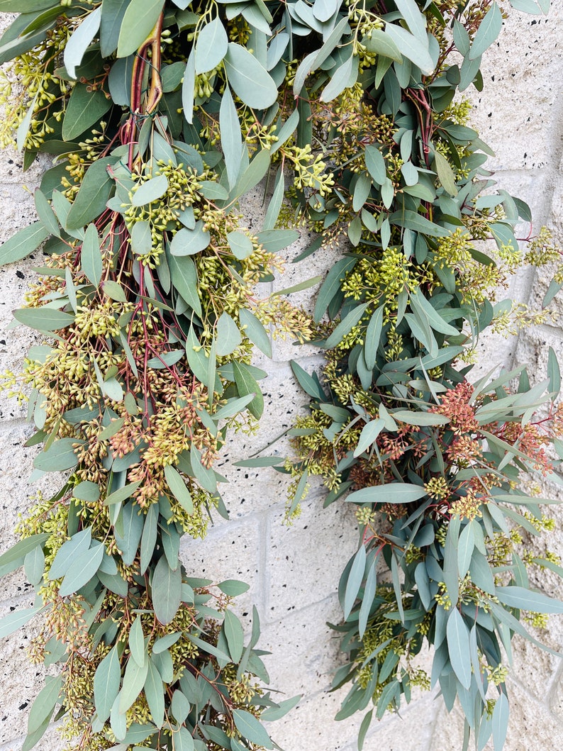Fresh Seeded Eucalyptus Garland // Natural Seeded Eucalyptus - Etsy