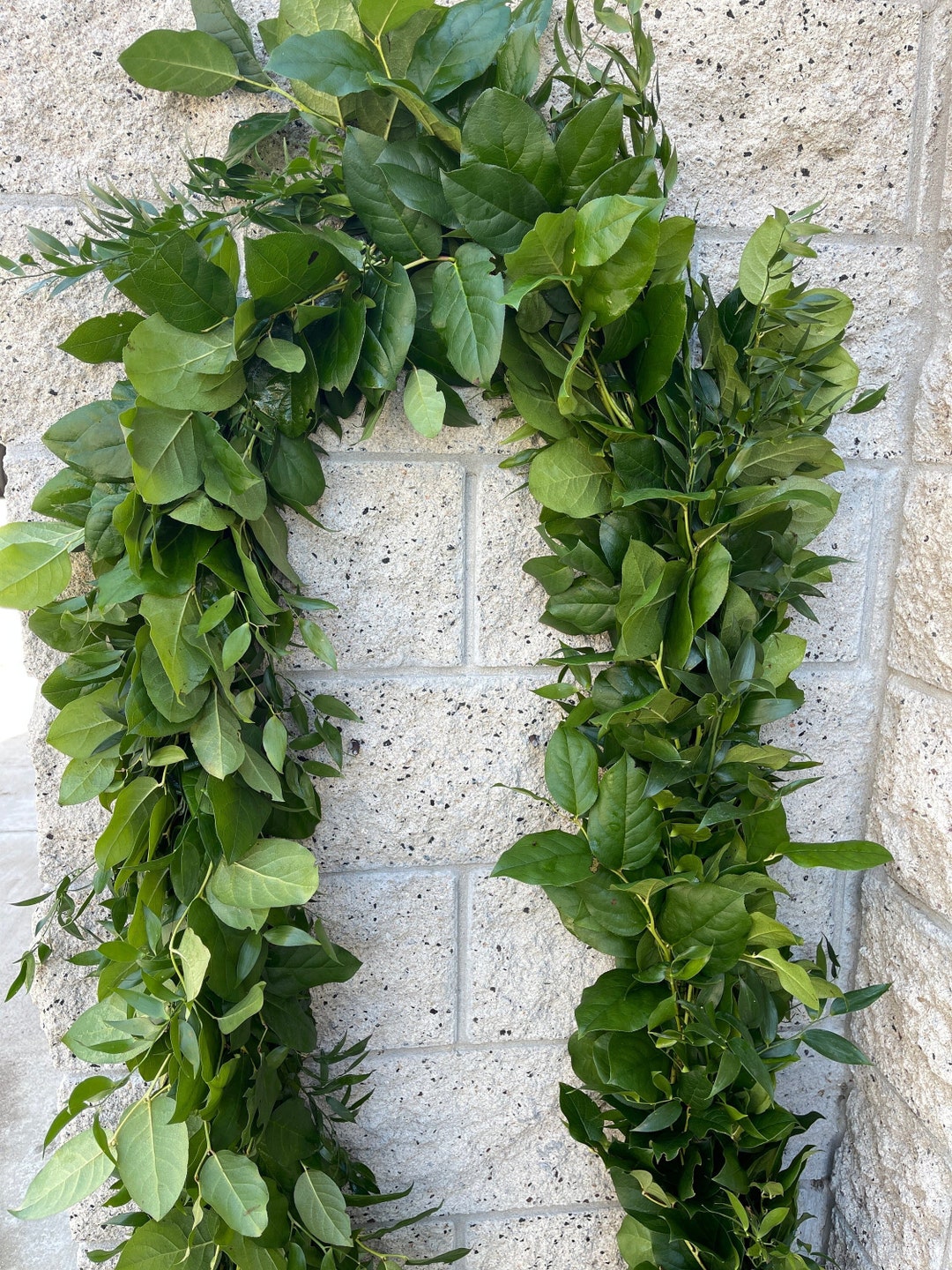 Fresh Italian Ruscus & Salal Garland // Natural Combo Garland ...