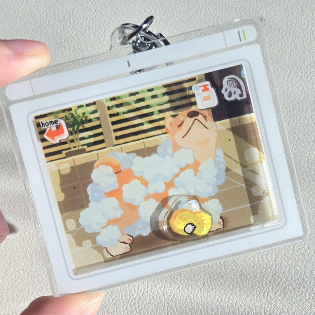 NINTENDOGS Shaker Keychain - Etsy