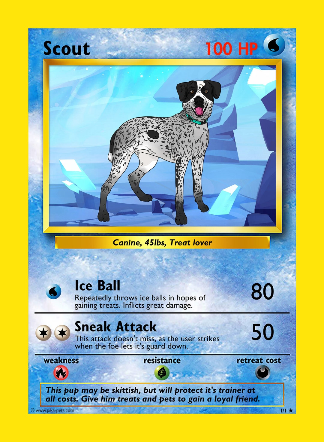 Pokemon Pet Card Portrait, Pokemon Card, Pet Into Pokemon Card, Pet ...