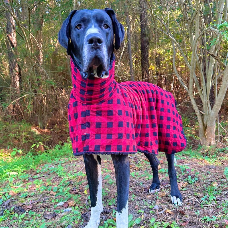 Great Dane Coat - Etsy