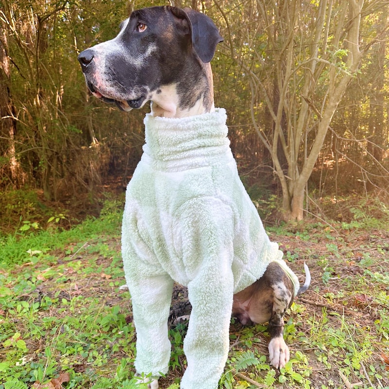 Great Dane Coat - Etsy