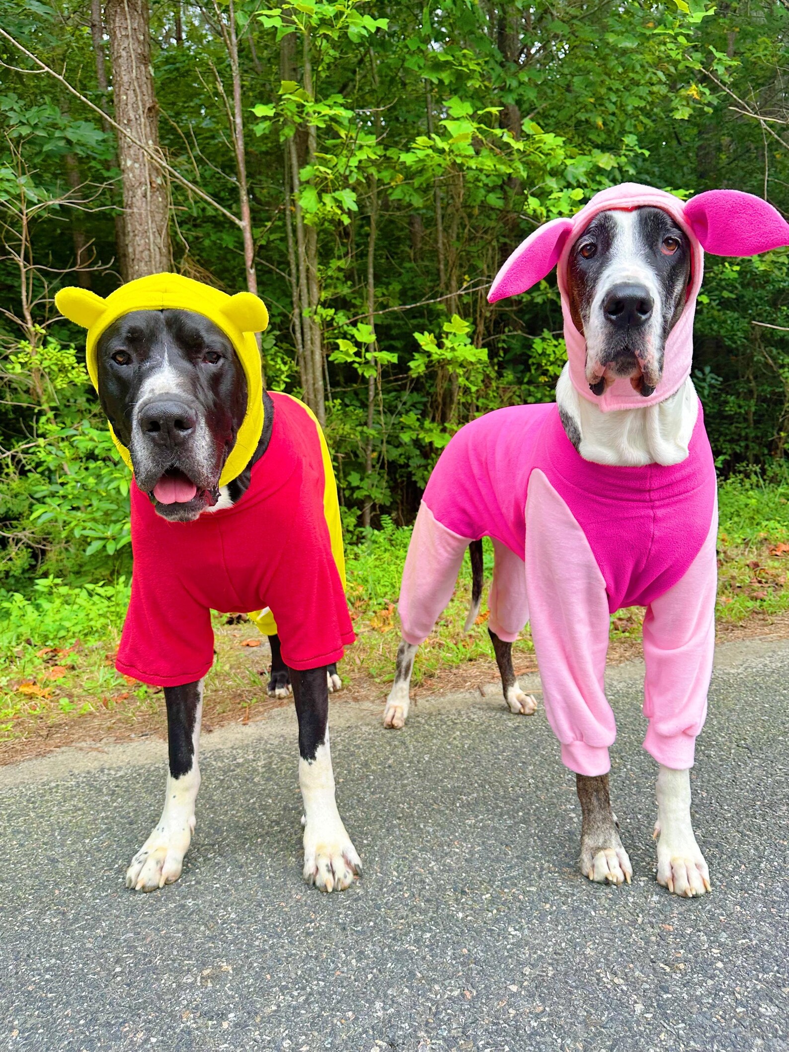 Custom Great Dane Halloween Costume for Dogs, Extra Large Dog Piglet ...