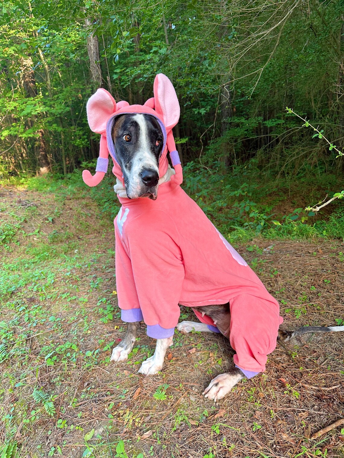 Custom Great Dane Halloween Costume for Dogs, Extra Large Stitch Dog ...