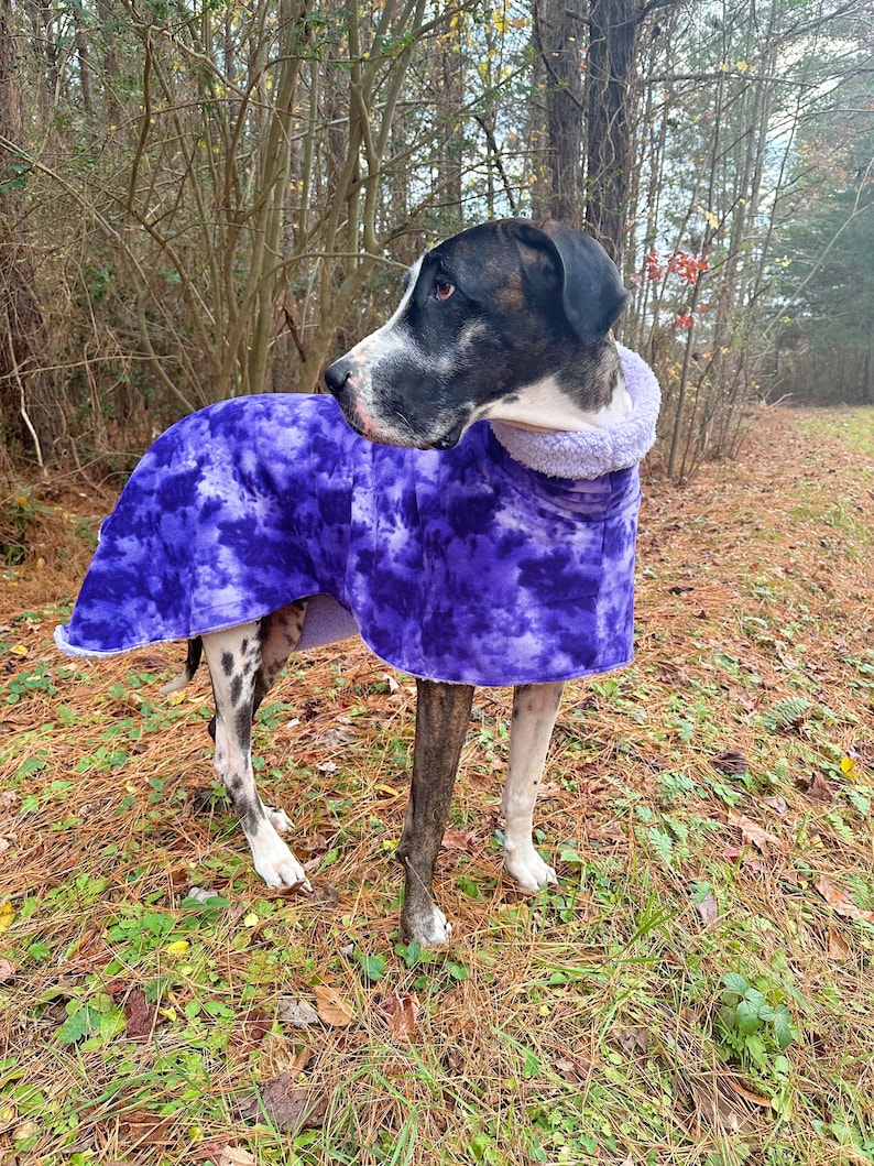 Great Dane Coats for Dogs, Extra Large Dog Pjs, Bull Mastiff Dog ...
