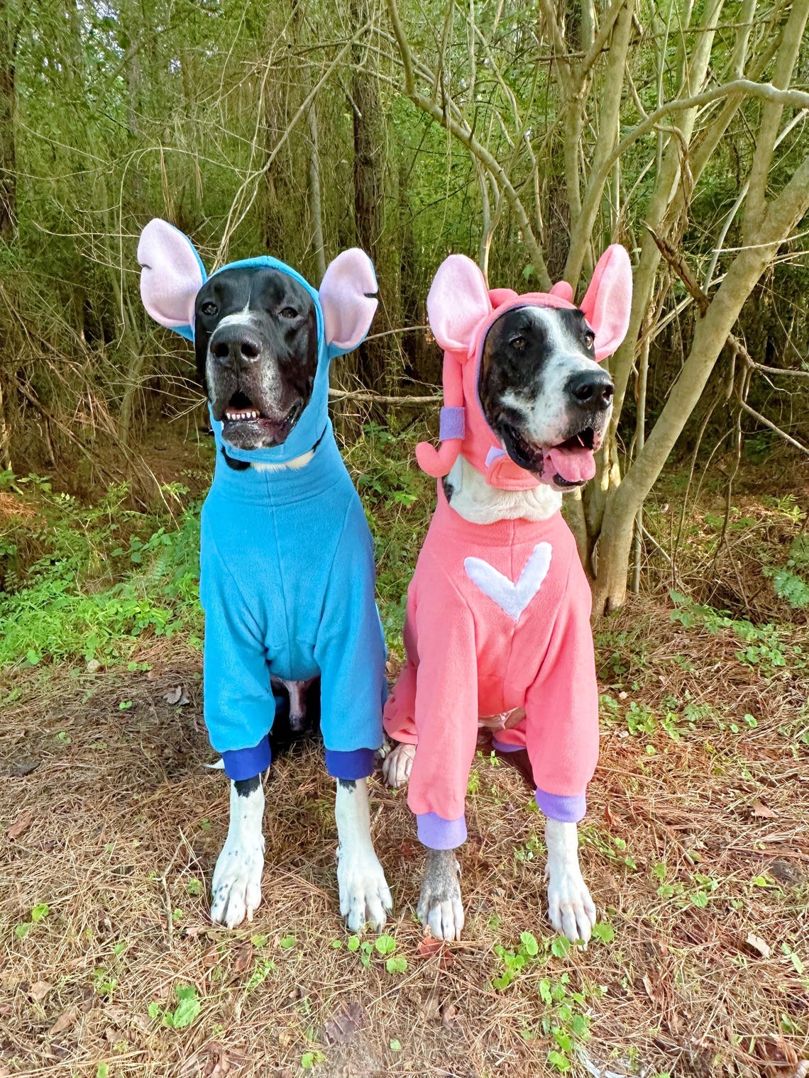 Custom Great Dane Halloween Costume for Dogs, Extra Large Stitch Dog ...