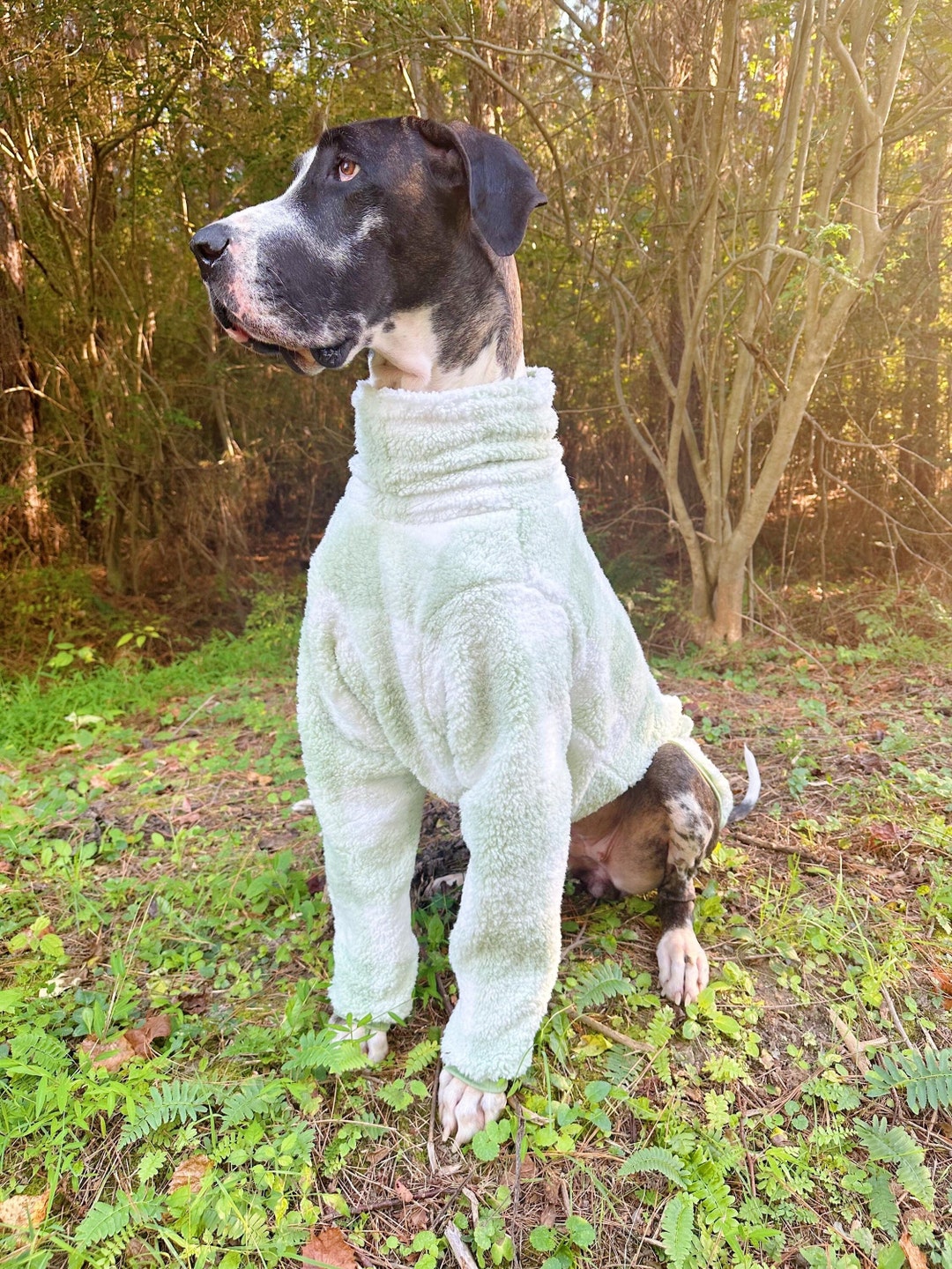 Great Dane Jacket for Dogs, Extra Large Dog Pjs, Bull Mastiff Dog ...