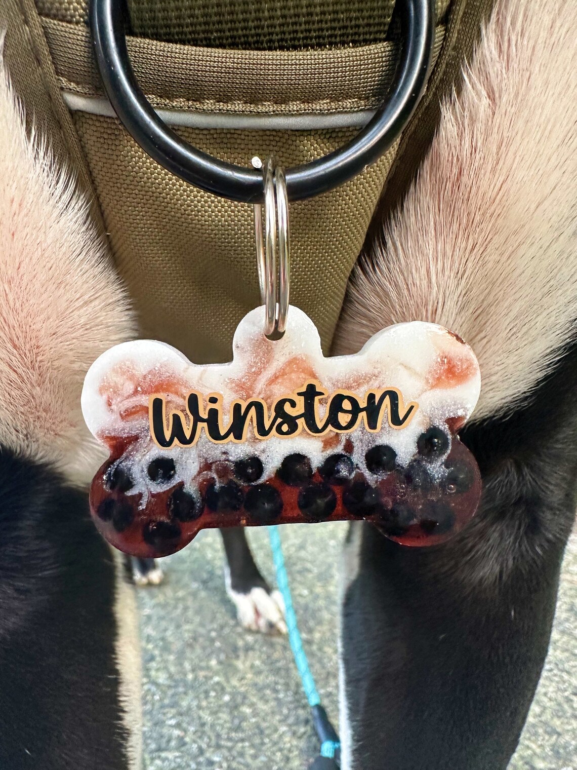Boba Pet Tag, Custom Pet Tag, Personalized, Custom Dog Tag, Resin Dog ...
