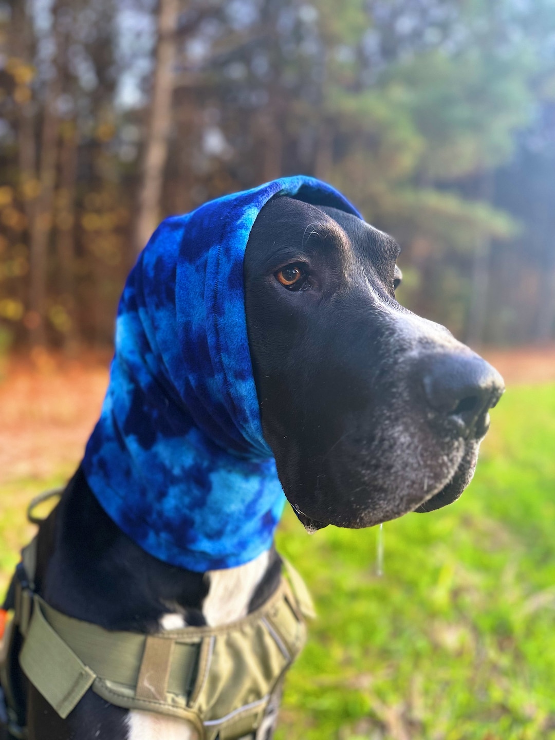 Snood for Dogs Great Dane Snood Custom Size Snood Fleece - Etsy
