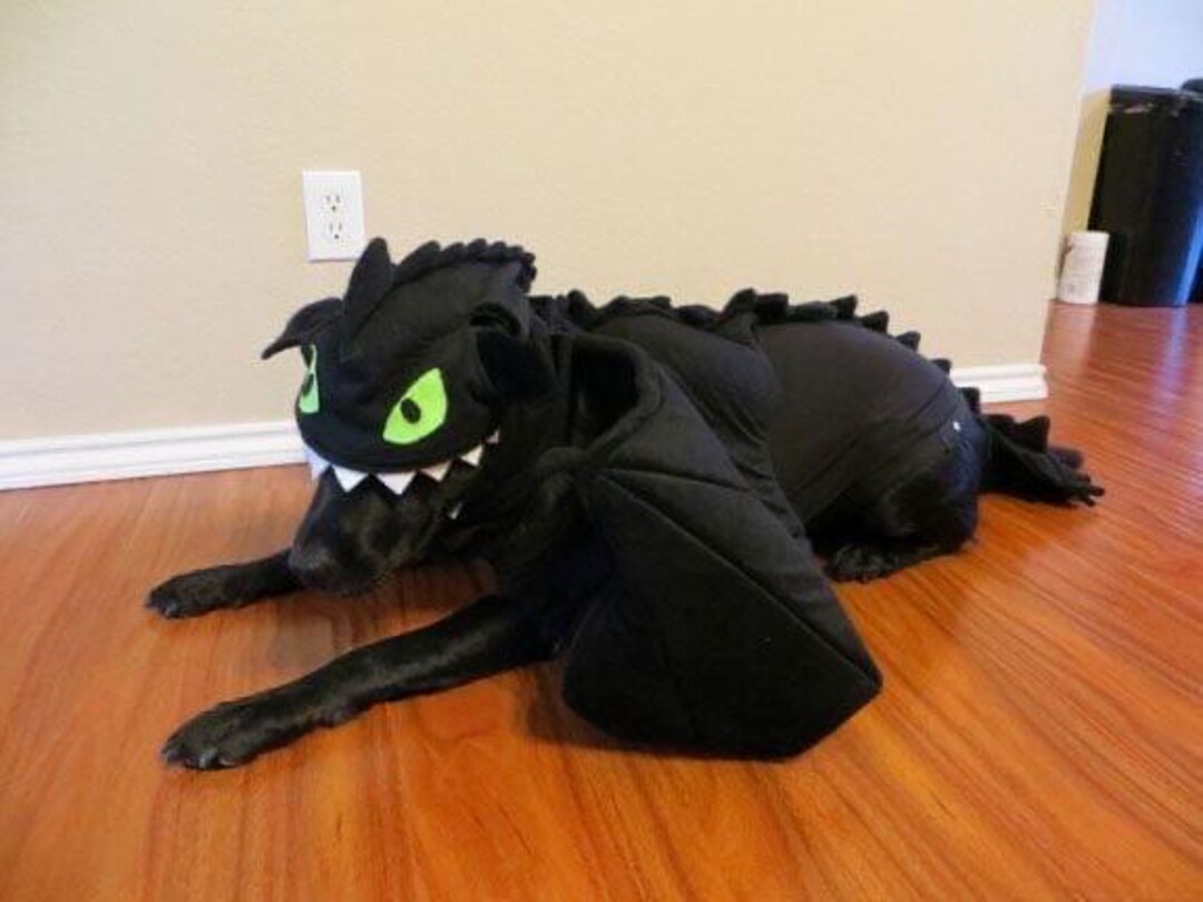 Custom Toothless Costume - Etsy