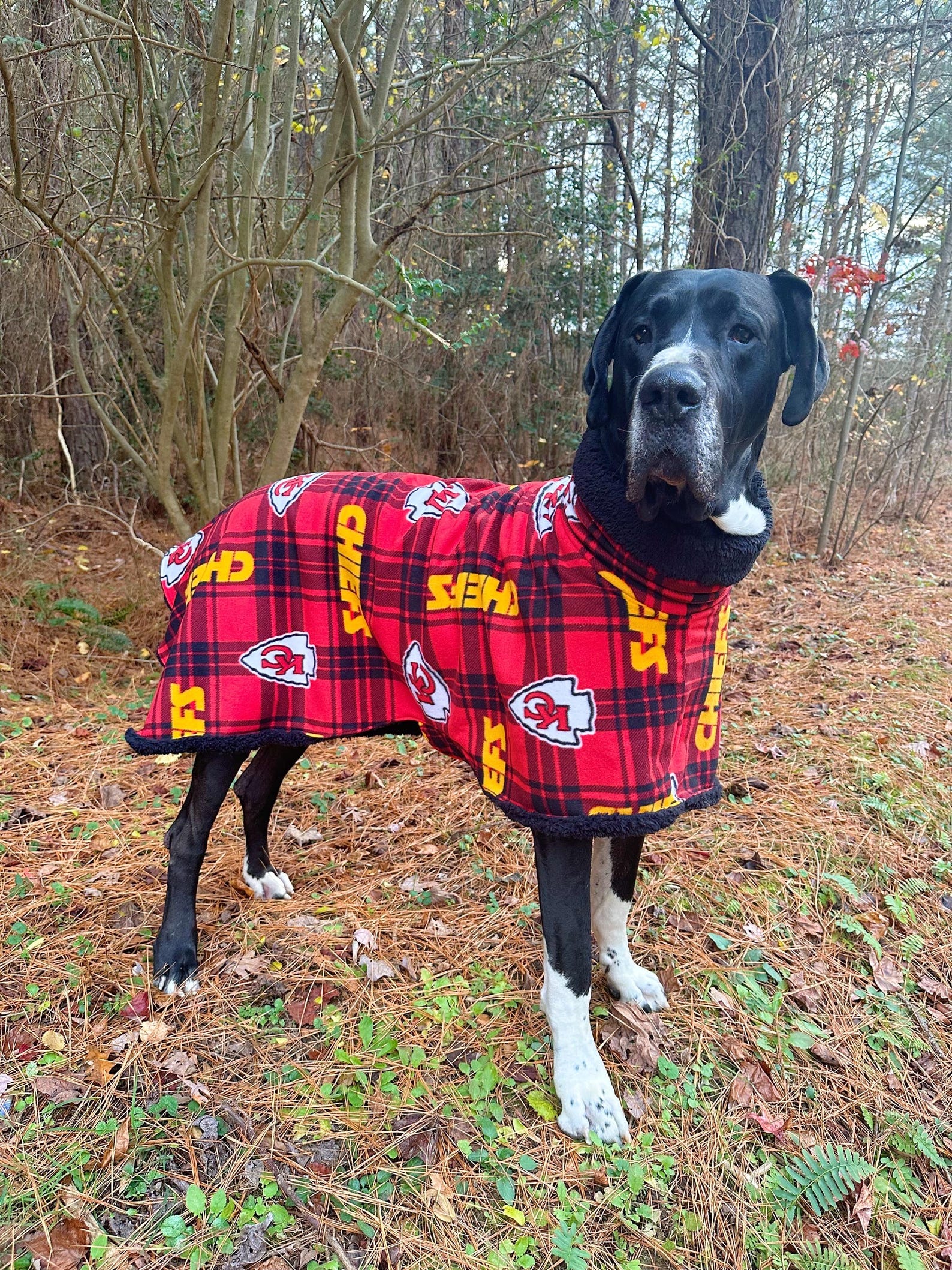 Great Dane Coats for Dogs, Extra Large Dog Pjs, Bull Mastiff Dog ...
