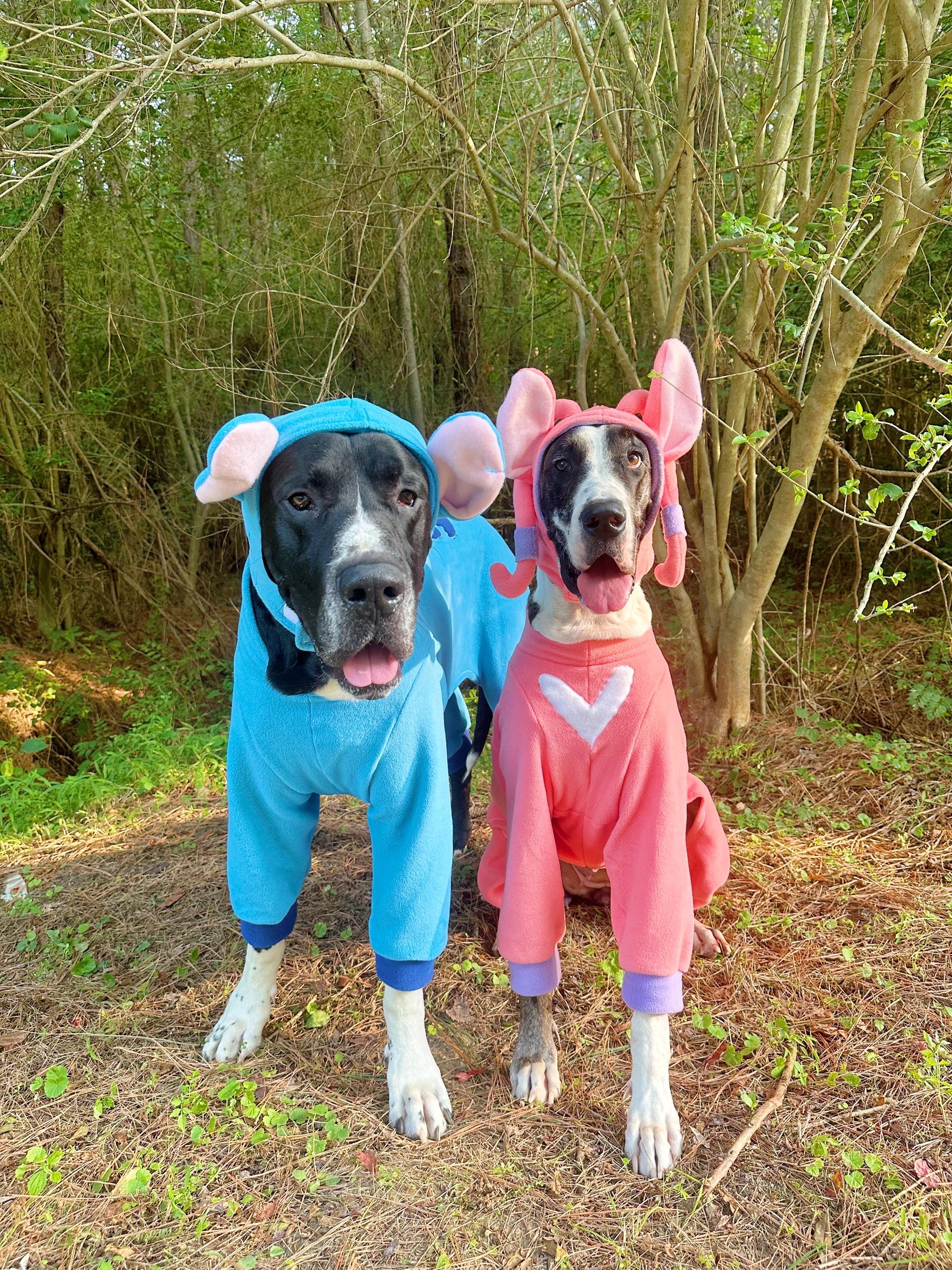 Custom Great Dane Halloween Costume for Dogs, Extra Large Stitch Dog ...