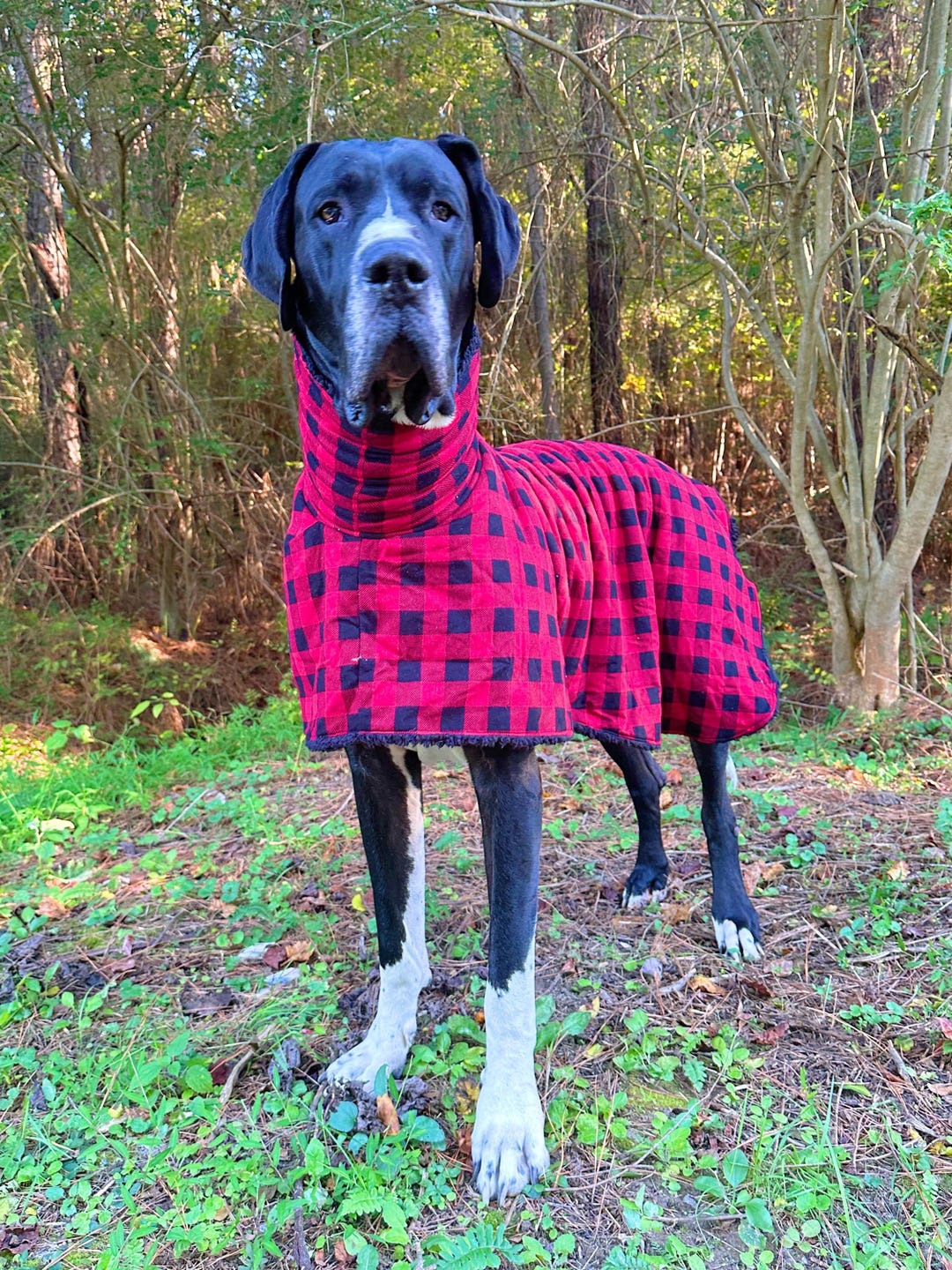 Great Dane Coats for Dogs, Extra Large Dog Pjs, Bull Mastiff Dog ...