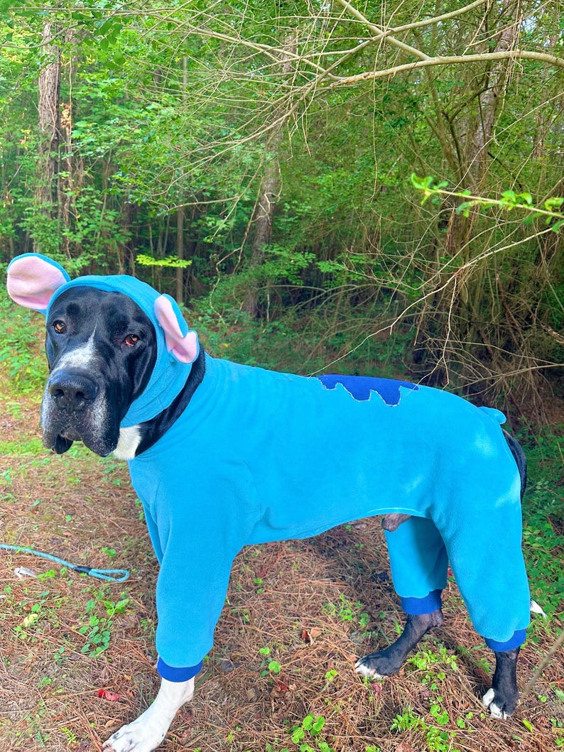 Custom Great Dane Halloween Costume for Dogs, Extra Large Stitch Dog ...