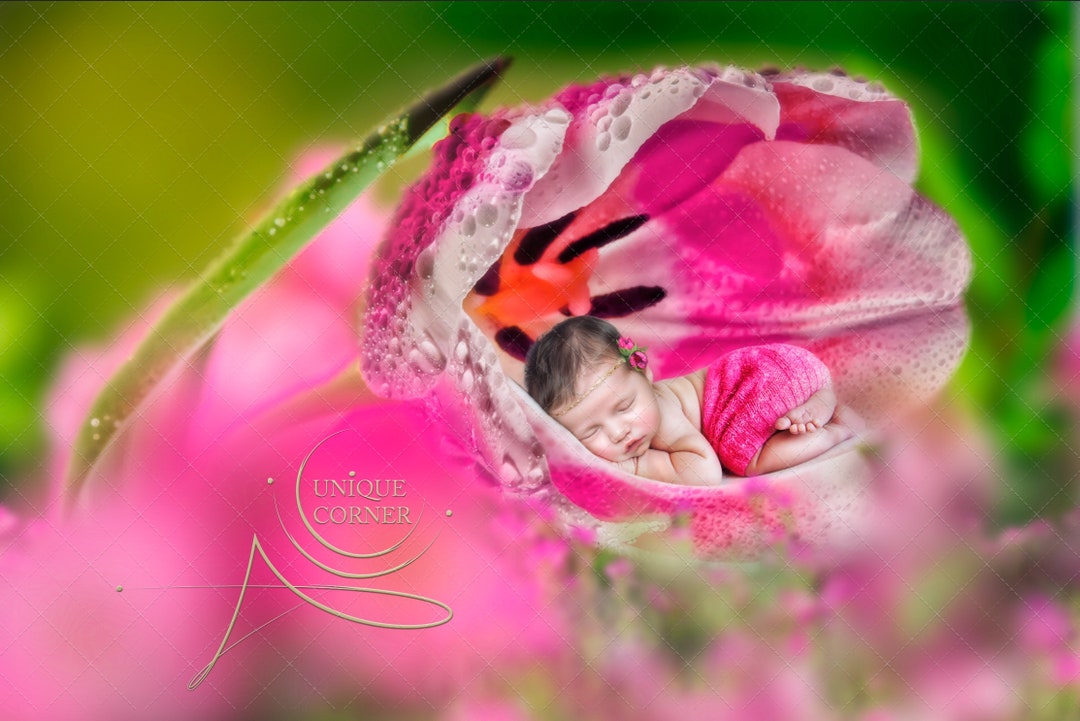 Blooming Flower Baby Photography Digital Background , Digital Backdrop ...
