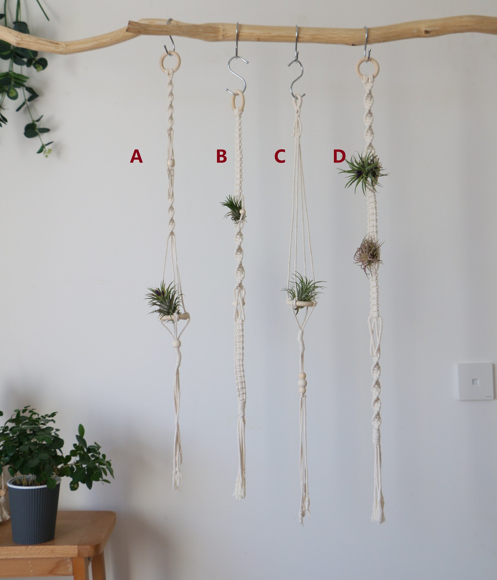 Macrame Air Plant Hanger Beige Color Minimalist Modern Simple | Etsy