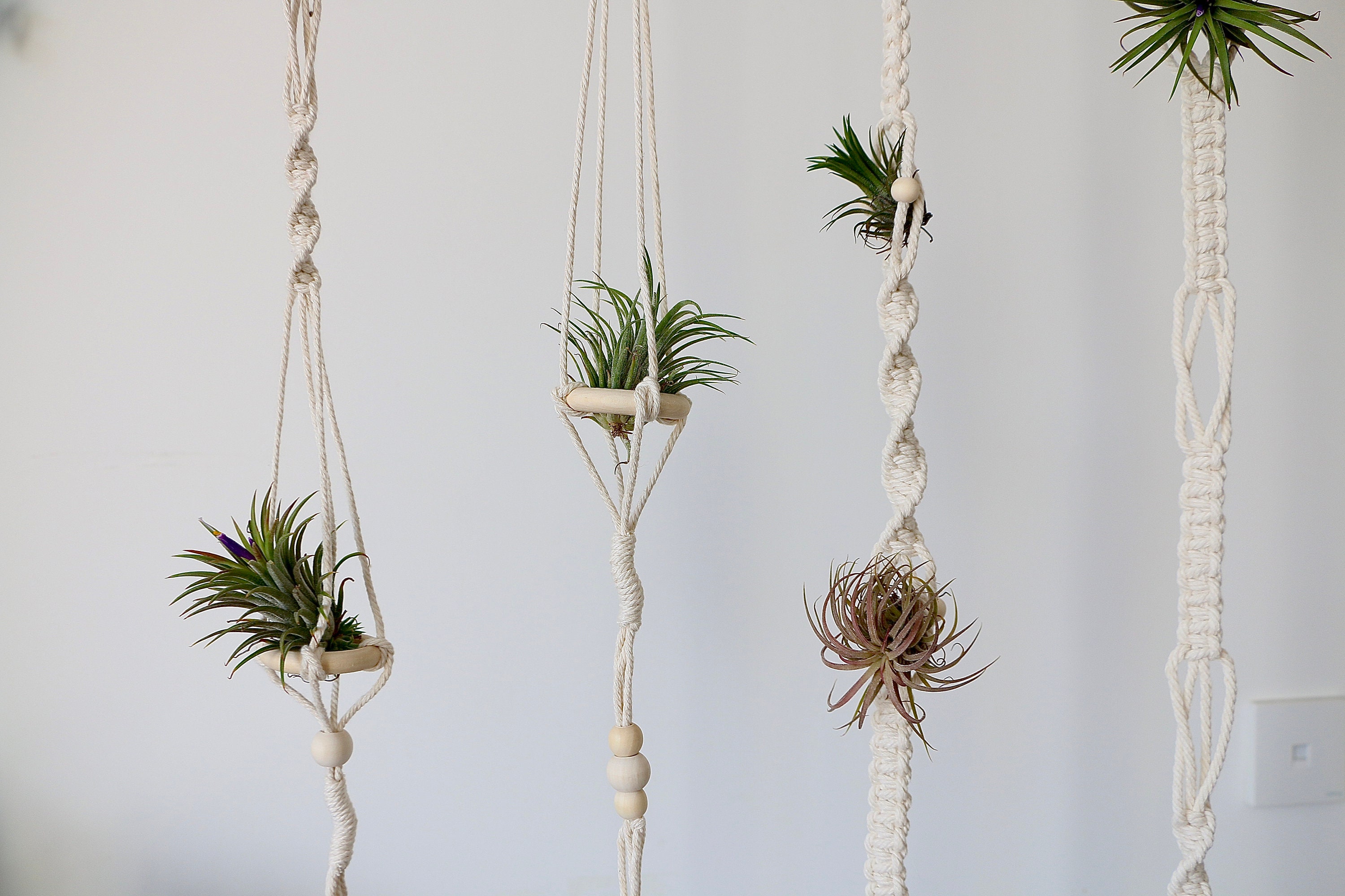 Macrame Air Plant Hanger Beige Color Minimalist Modern Simple | Etsy
