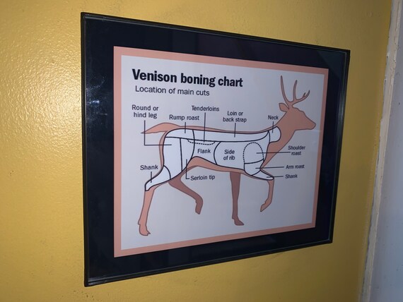 Deer Backstrap Location