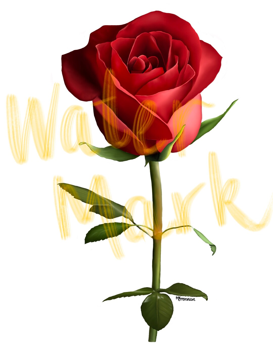 Rose Flower Digital Drawing Wall Art Print - Etsy