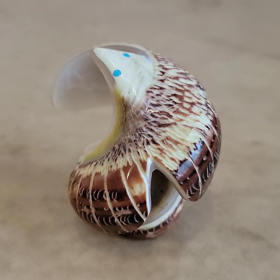 Snail Shell Eagle Zuni Fetish - Etsy