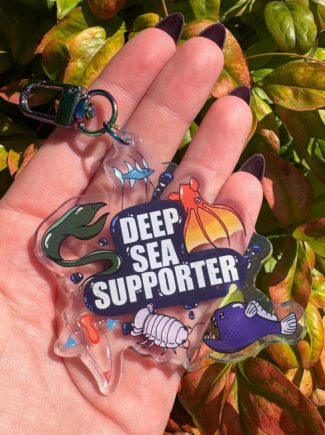 Deep Sea Creature, Angler Fish, Vampire Squid, Isopod, Sea Slug ...
