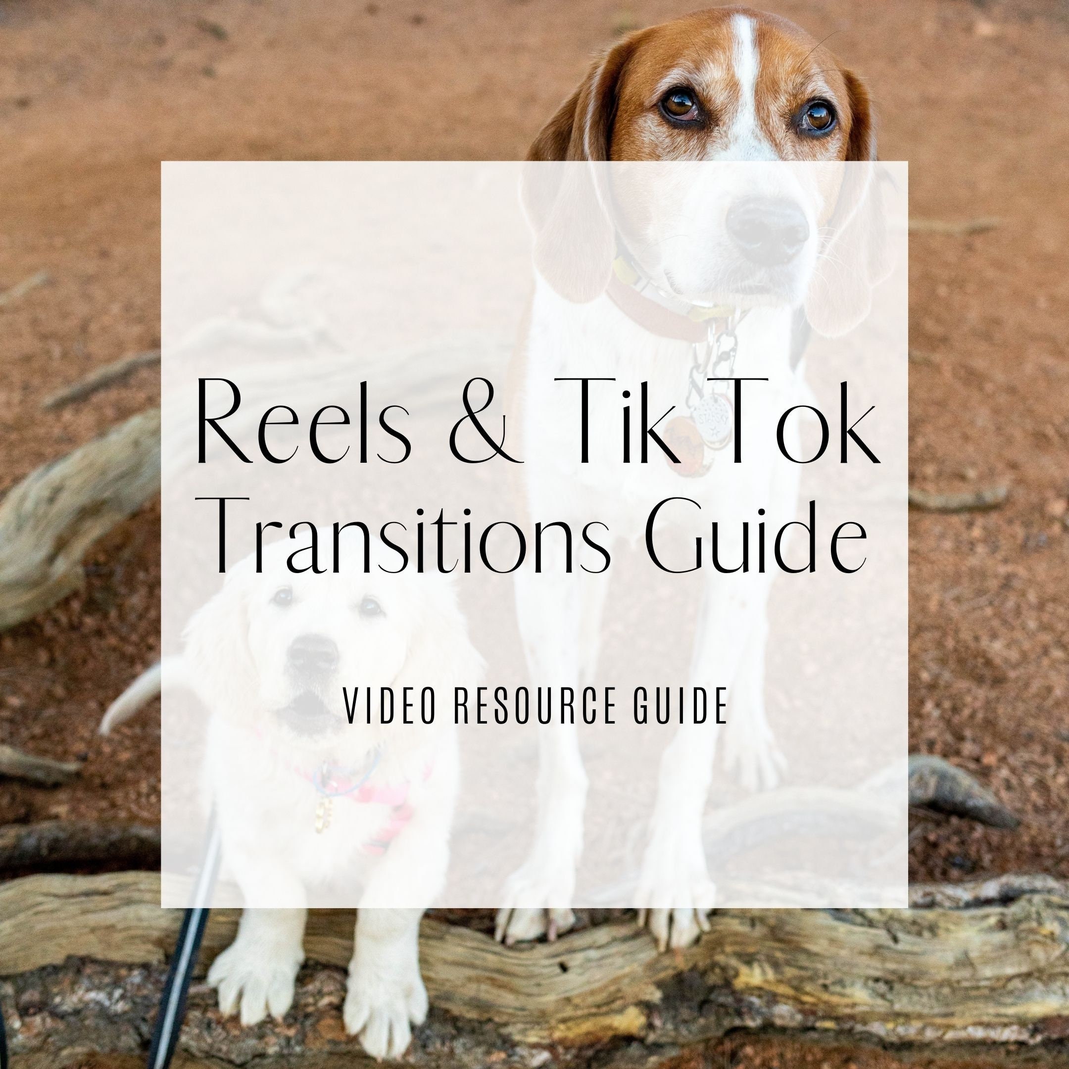 Reels & Tik Tok Transitions // Video Guide - Etsy