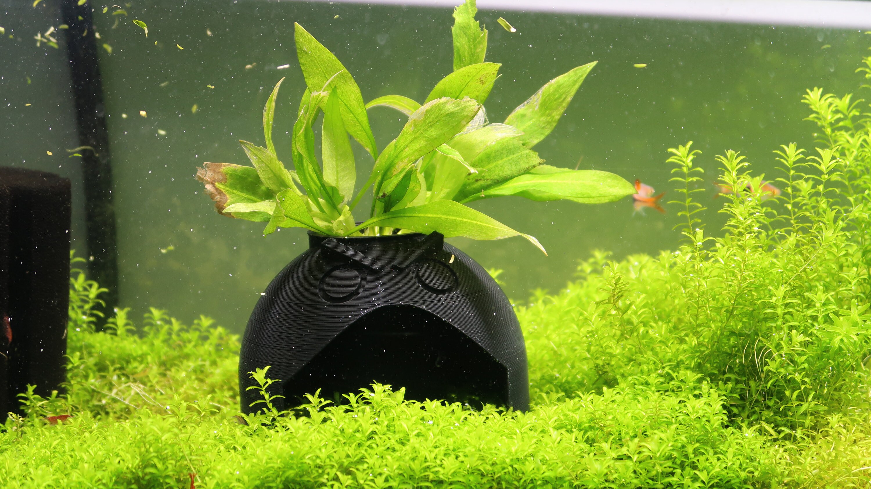 Aquarium Angry Cave Planter - Etsy