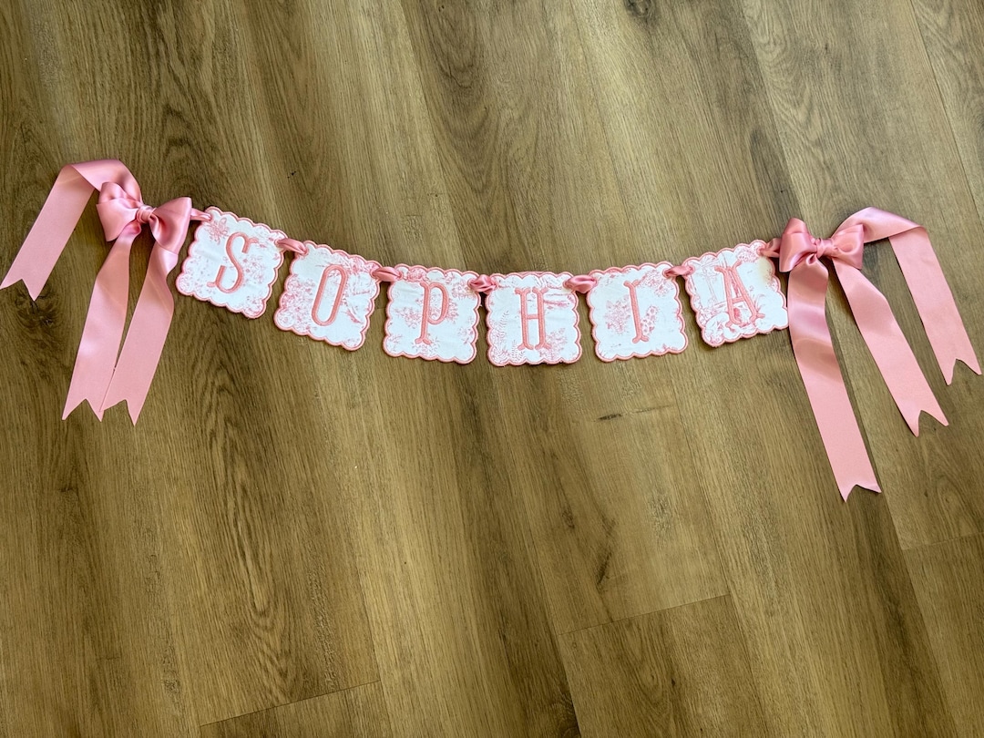 Custom Baby Name Banner - Pink Toile & Embroidered Letters for Baby ...