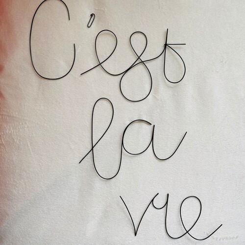 Wire Rabbits Wire Words Pet Gifts Decor Bunny Animal | Etsy