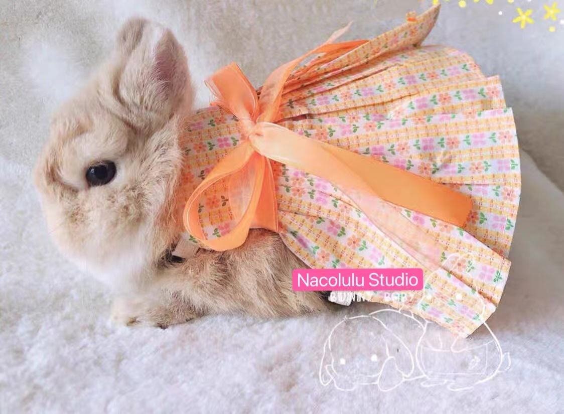 Customize Bunny Cloth Princess Dress for Rabbit Cloth for - Etsy