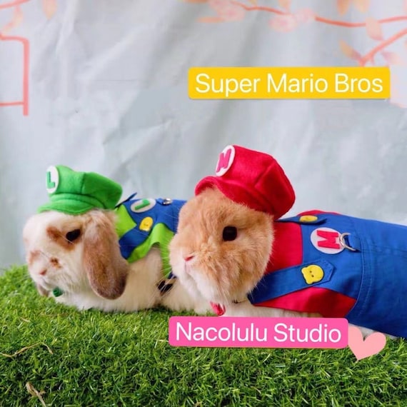 Cute Bunnies In Clothes