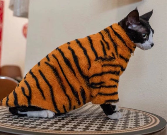 Hairless Tiger