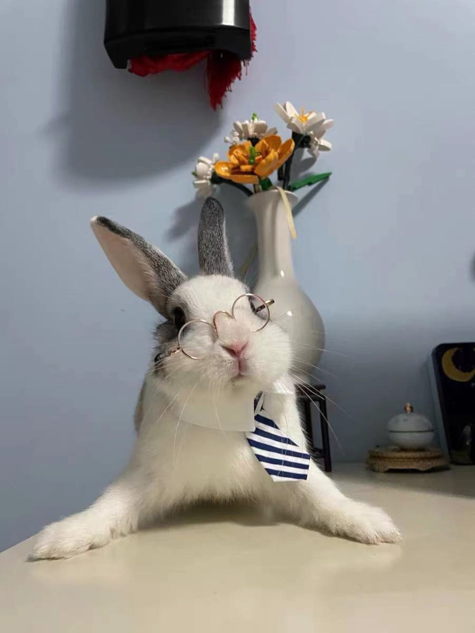 Customize Bunny Accessory Cloth Costume Dress Cosplay for - Etsy