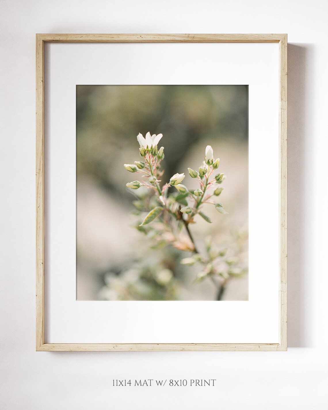 Spring Flower Buds Print Spring Blooms Wall Art Spring Botanical Wall ...
