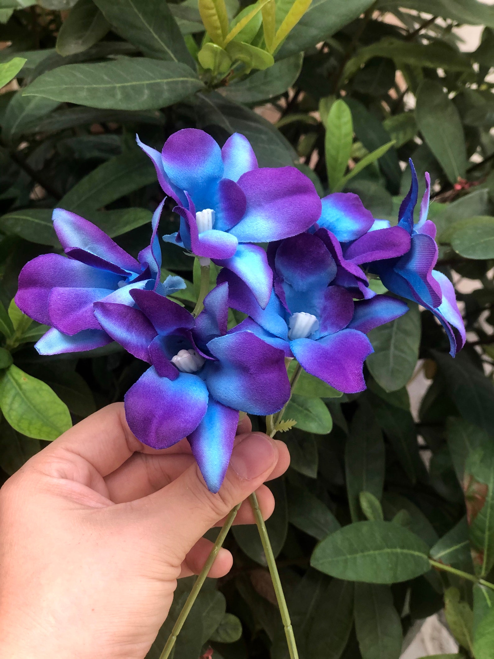 14.6'' Galaxy Orchids Stems,purple Blue Galaxy Orchid, 3pcs Flowers ...