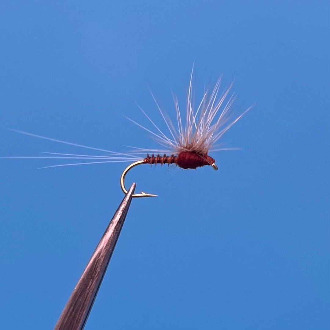 Hackle Stacked Rusty Spinner #2, 3-pack - Etsy