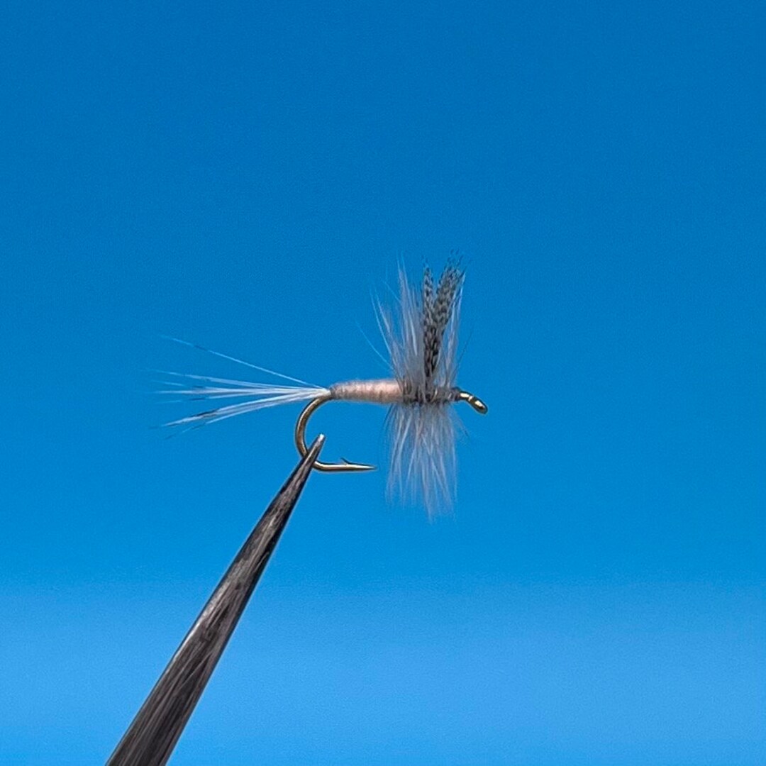 Light Hendrickson Traditional, 3-pack - Etsy