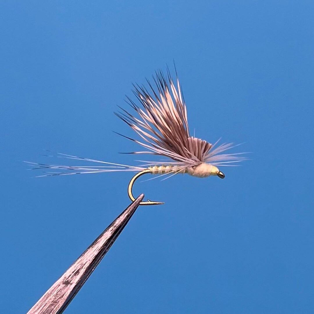 Light Cahill Tilt-wing, 3-pack - Etsy