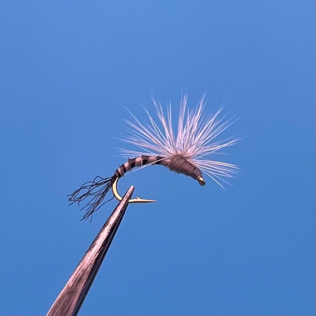 Quill Gordon Hackle Stacked Emerger, 3-pack - Etsy